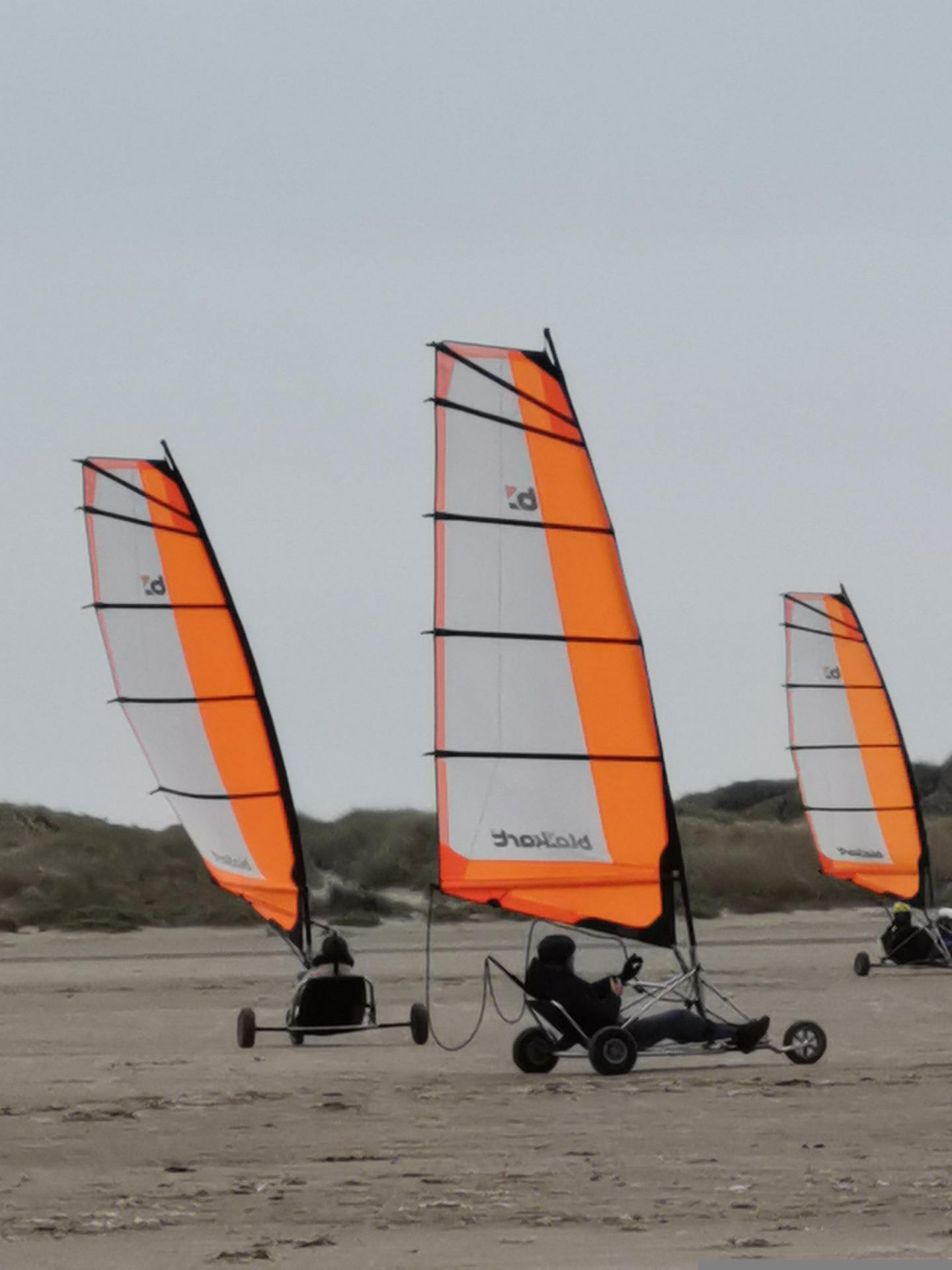 Blokarten op Schiermonnikoog – Alles wat je moet weten