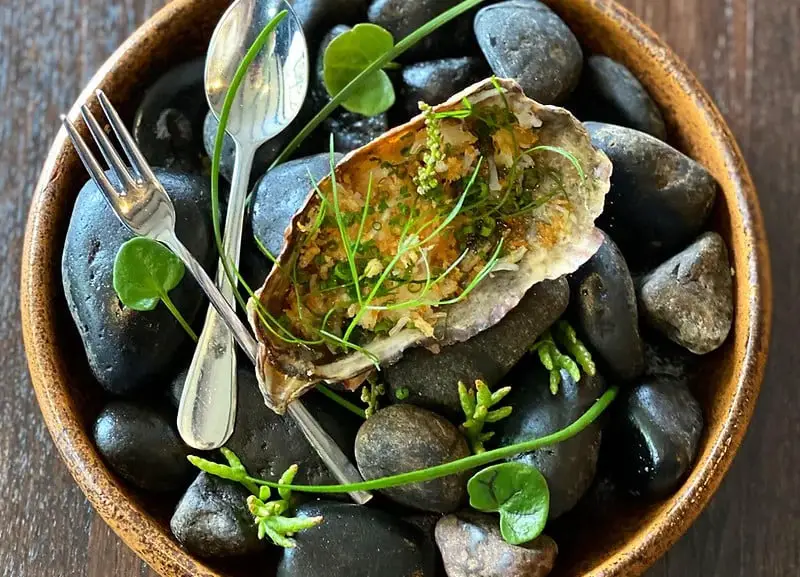 Edinbane Lodge – The best lodge in the Isle of Skye?